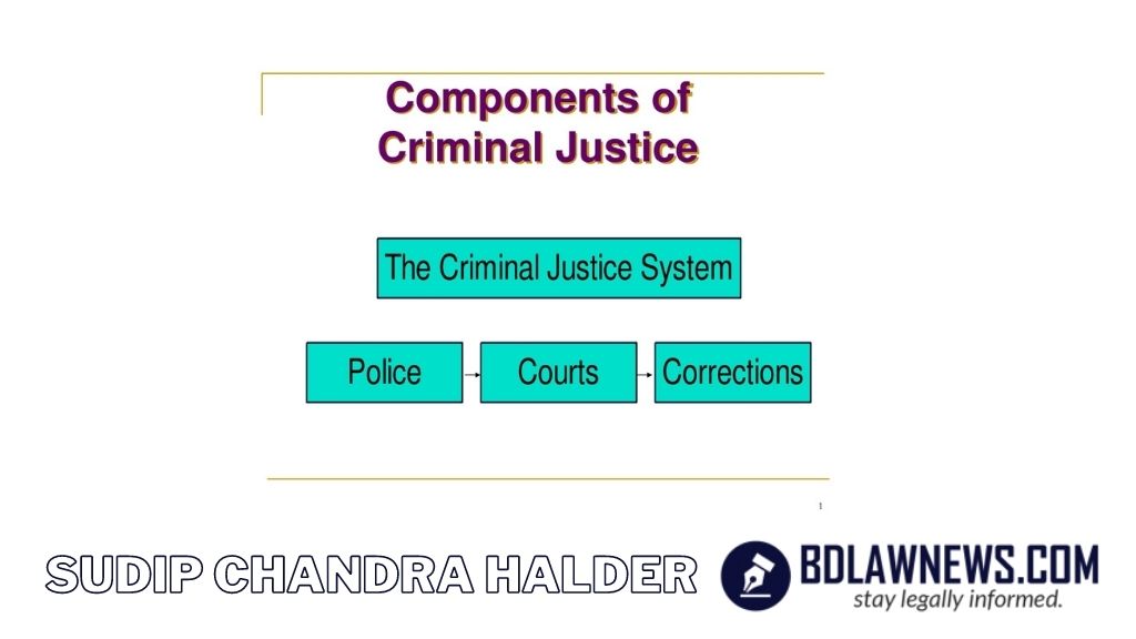 Criminal Justice System Components